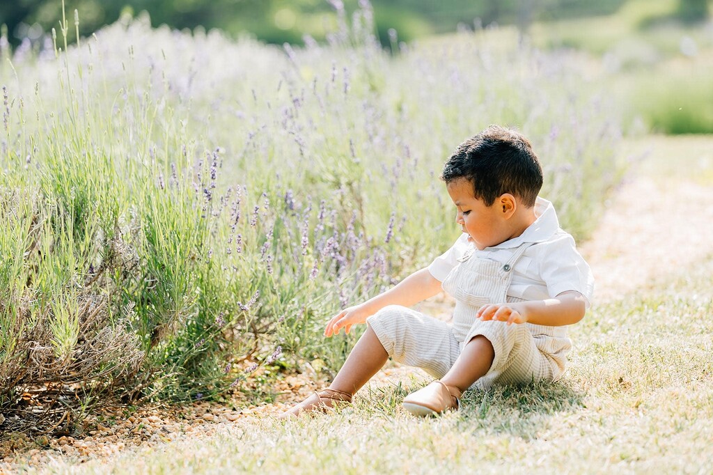 Millie Sharp Photography Summer Sessions CAF #4 - Lavender Field ...