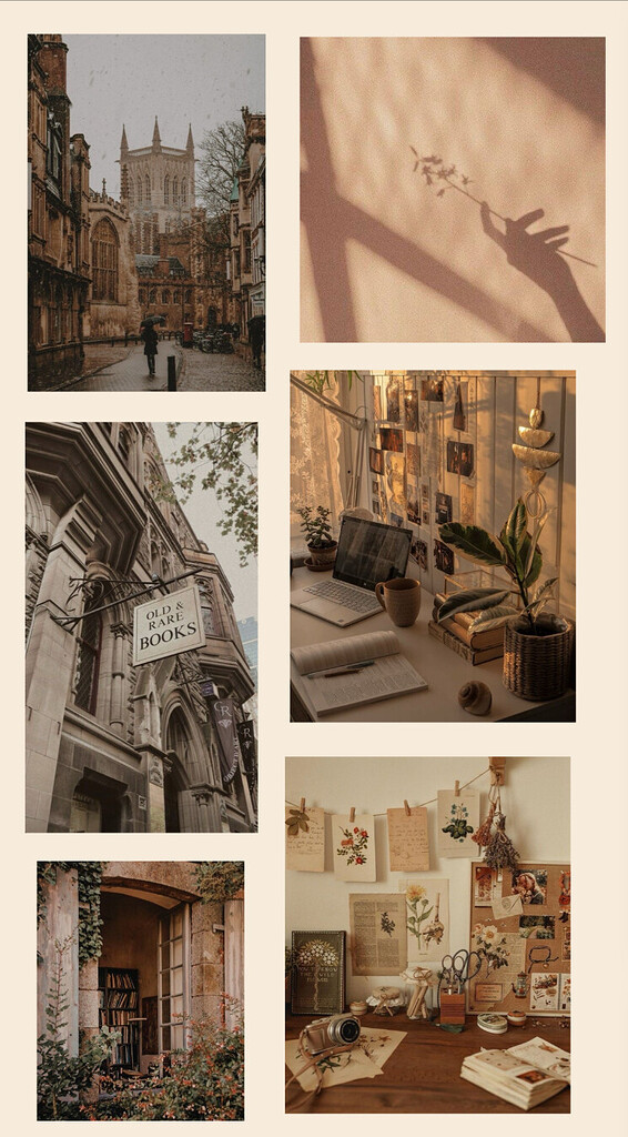 🌷 names for this vibe? - General Name Discussion - Nameberry