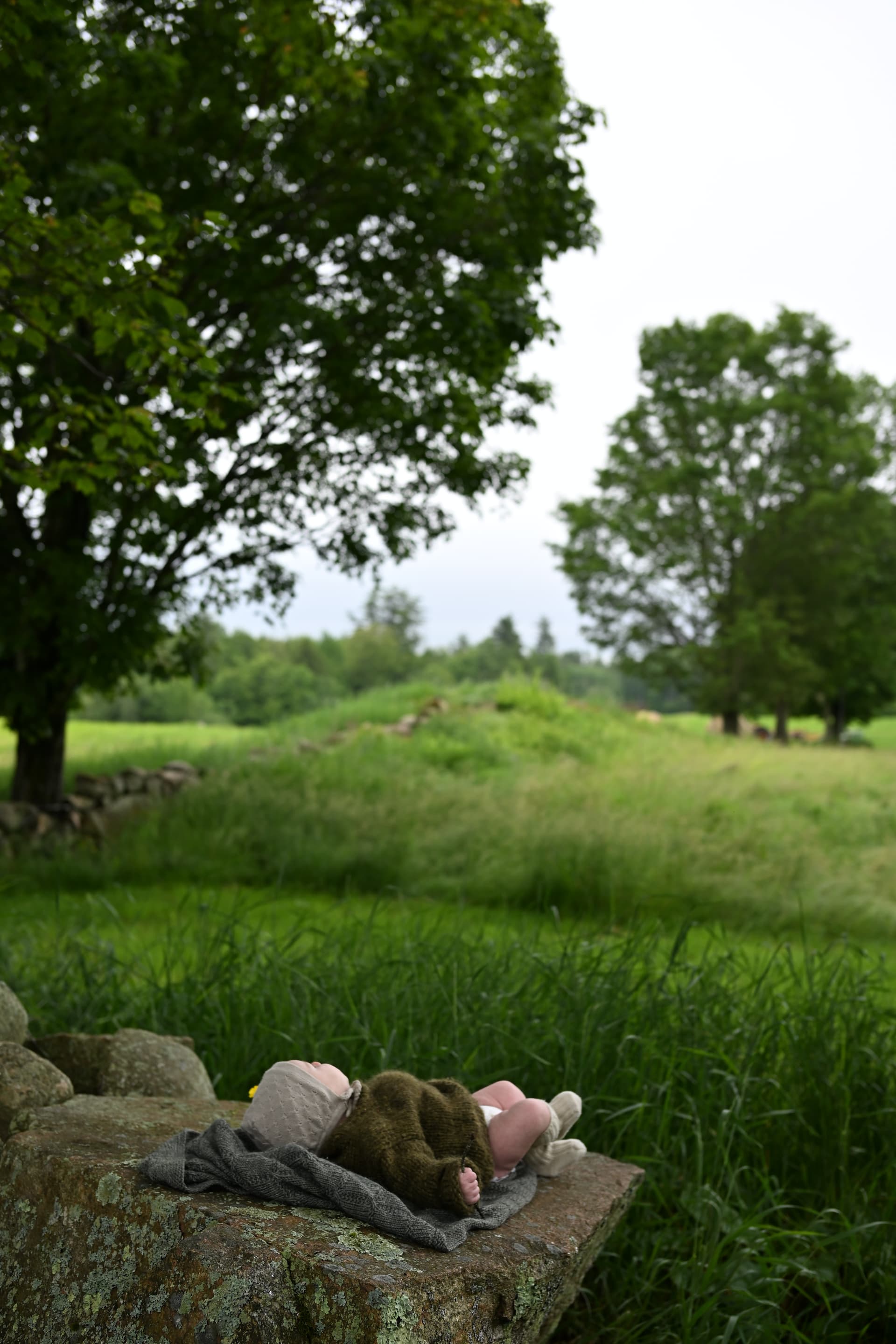 Little Fern 🌿 - Girl Names - Nameberry